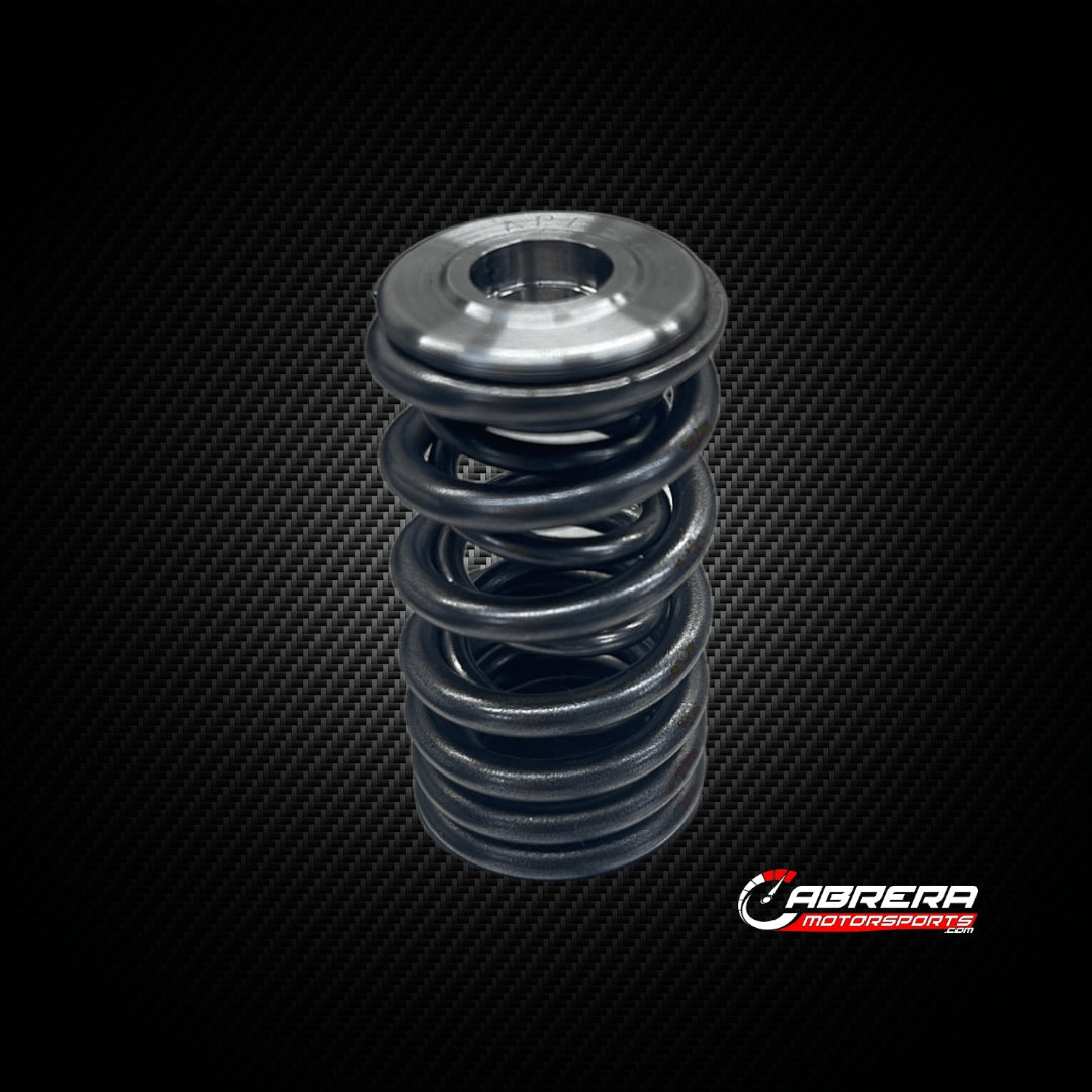 APE High Lift Cam Valve Spring Set | Cabrera MotorSports | CMS